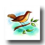 Symbol Meanings in Tarot by Avia from Tarot Teachings